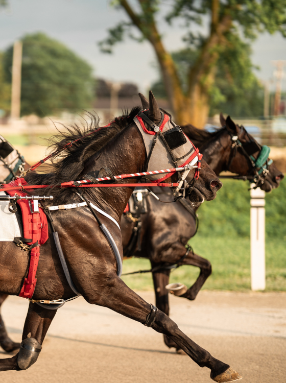 Visit Fayette County, Ohio | Fayette County Travel & Tourism Bureau